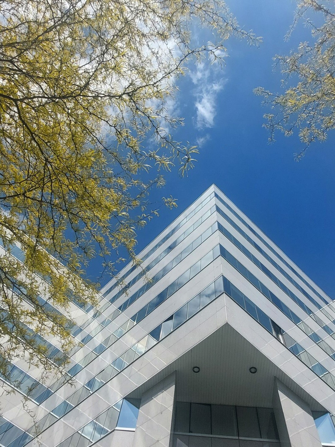 Labo architecture