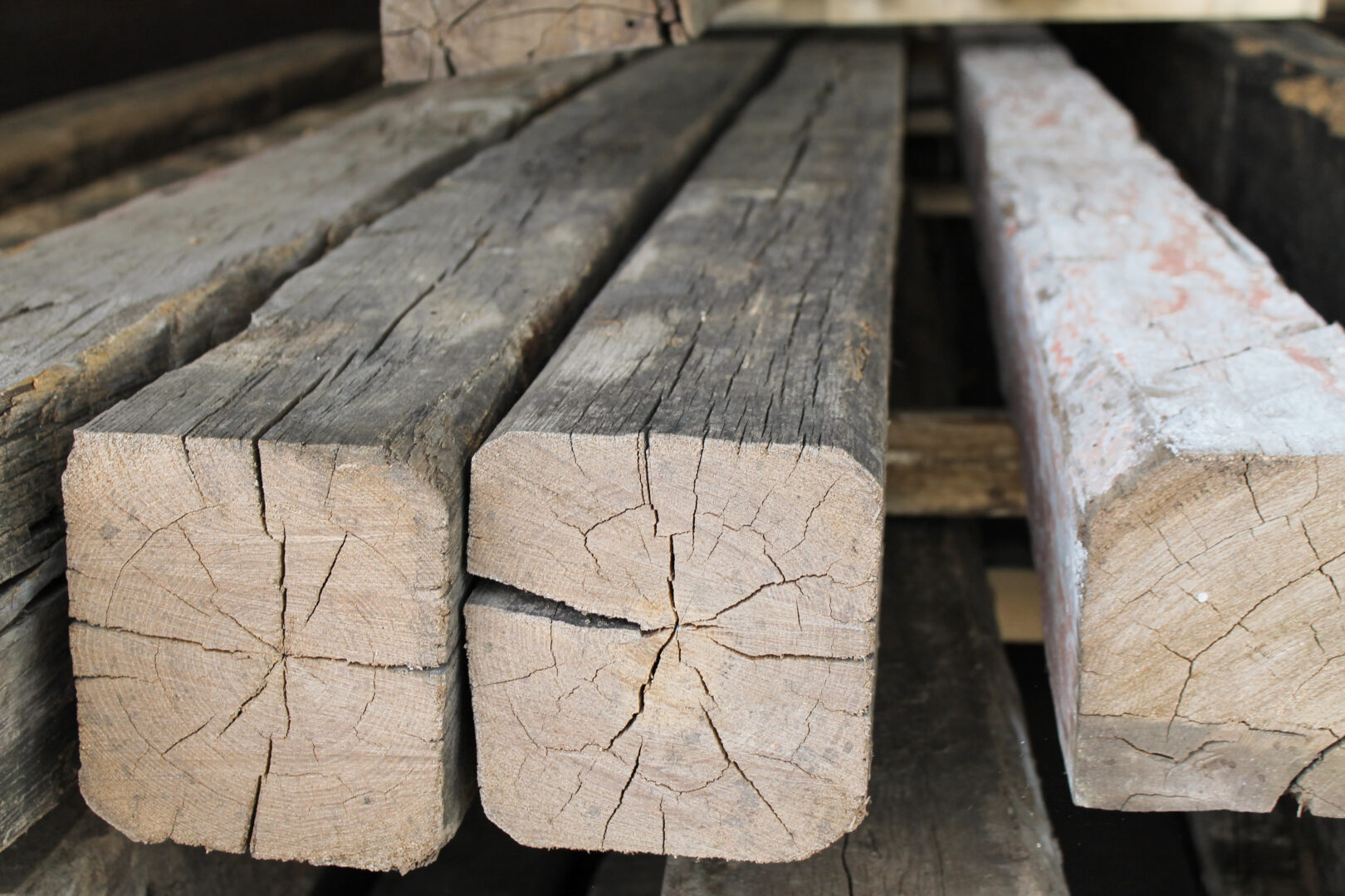 Matériaux biosourcés, réemploi & responsabilité : la démarche LABO ...